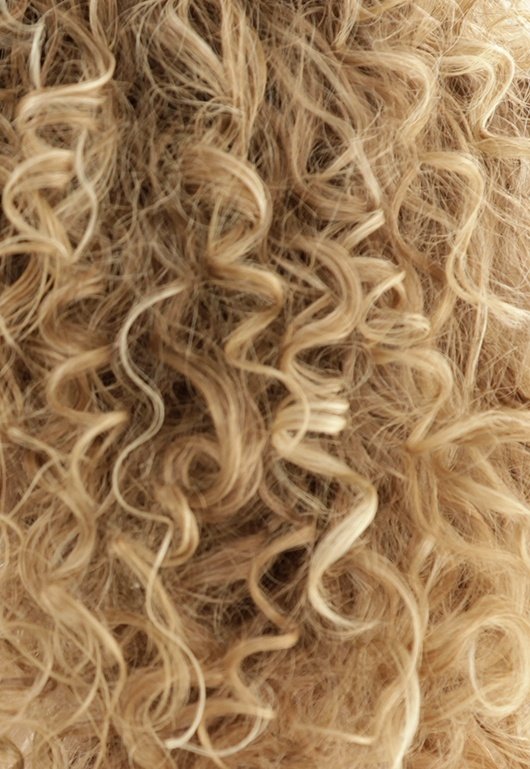 Curl-principles - Redken Education - Redken US