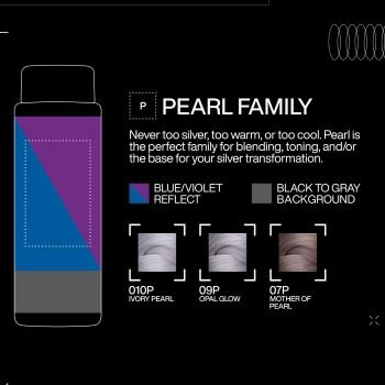 Discover the Shades EQ Silver Strong Collection | Redkenpro